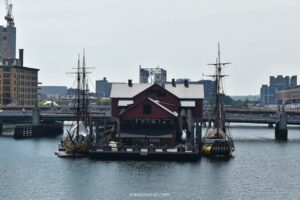 Boston: The Easiest Whale Watching Tour - Travel Realist